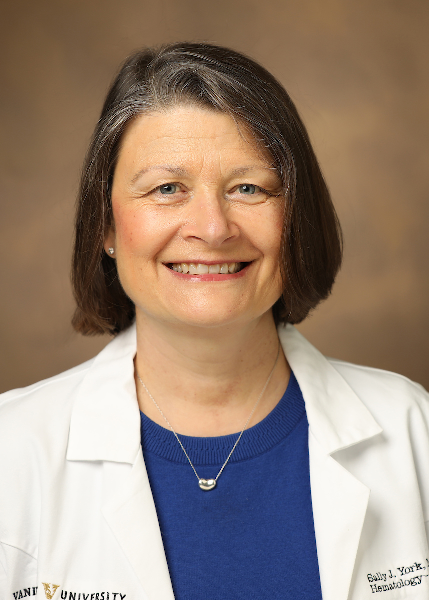 HO Fellowship | Department of Medicine